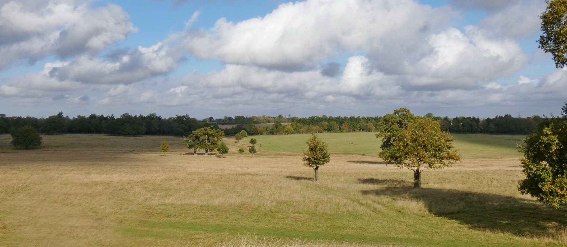 www.suffolksociety.org - urlscan.io