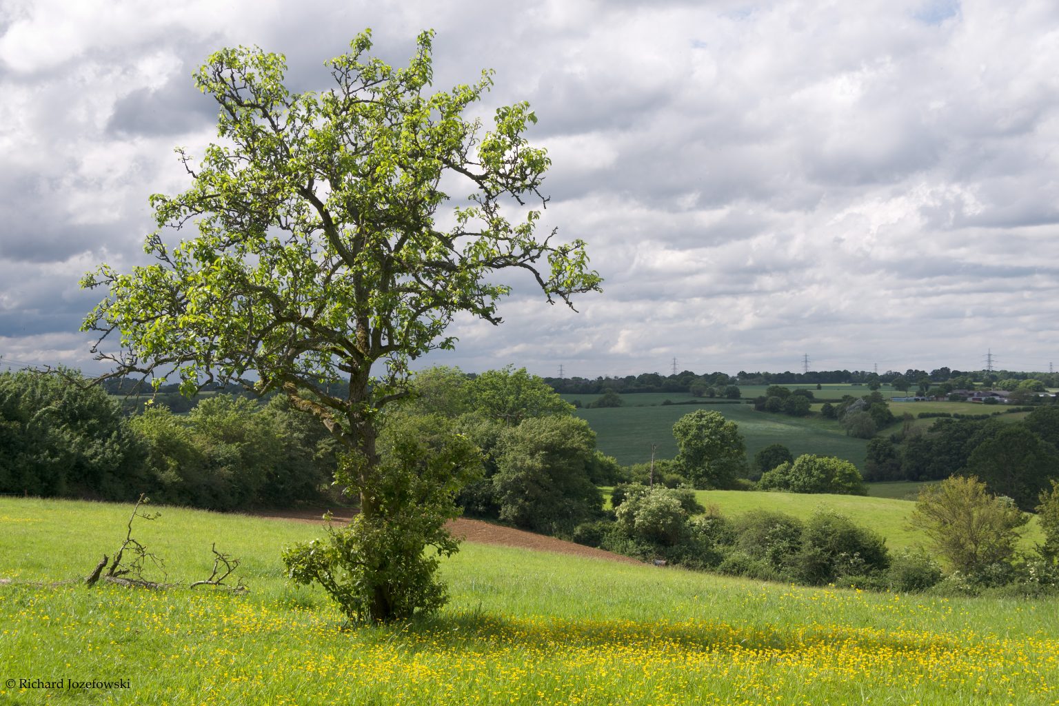 Suffolk's Designated Landscapes - Suffolk Preservation Society