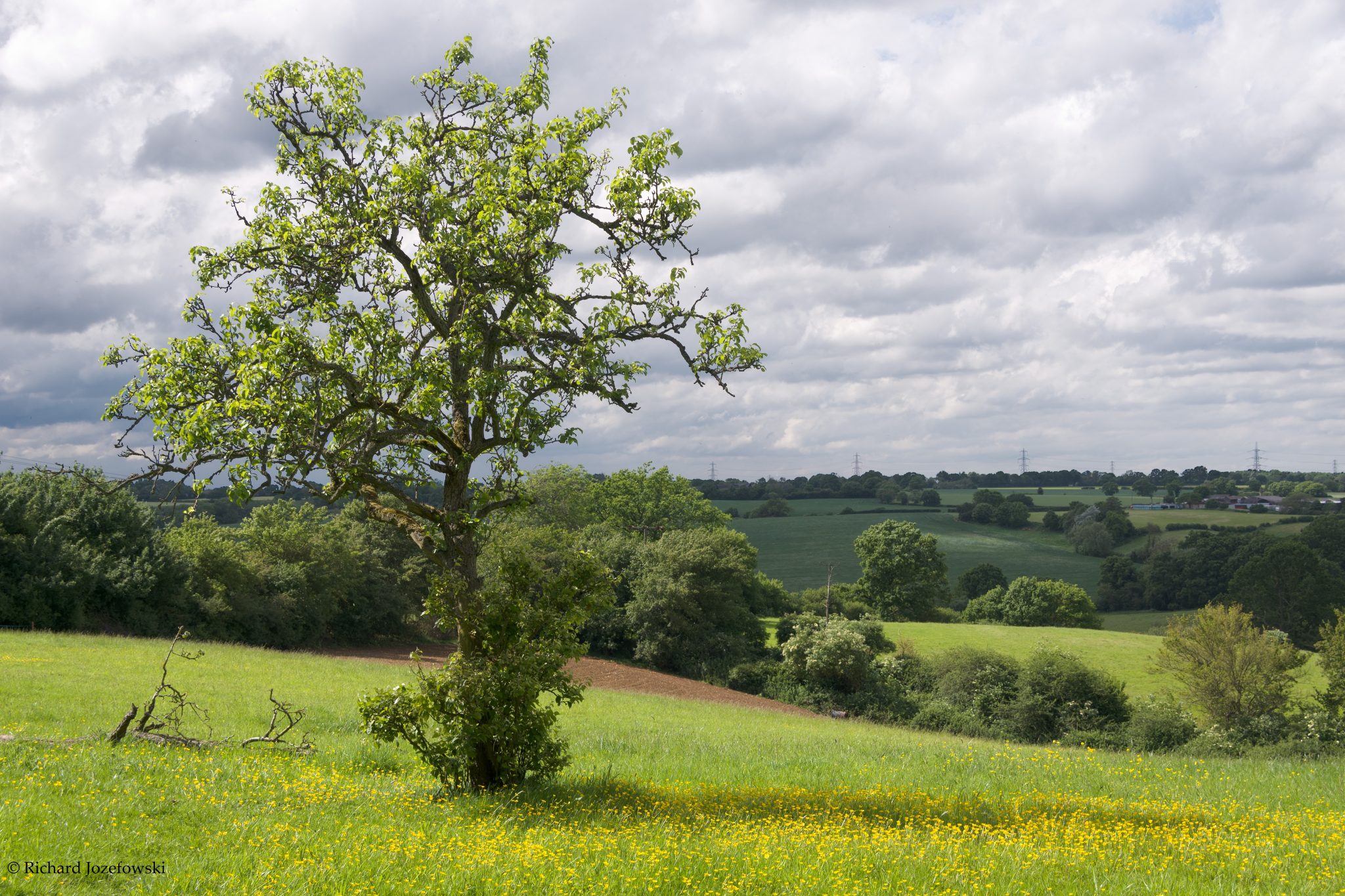 Suffolk's Designated Landscapes - Suffolk Preservation Society